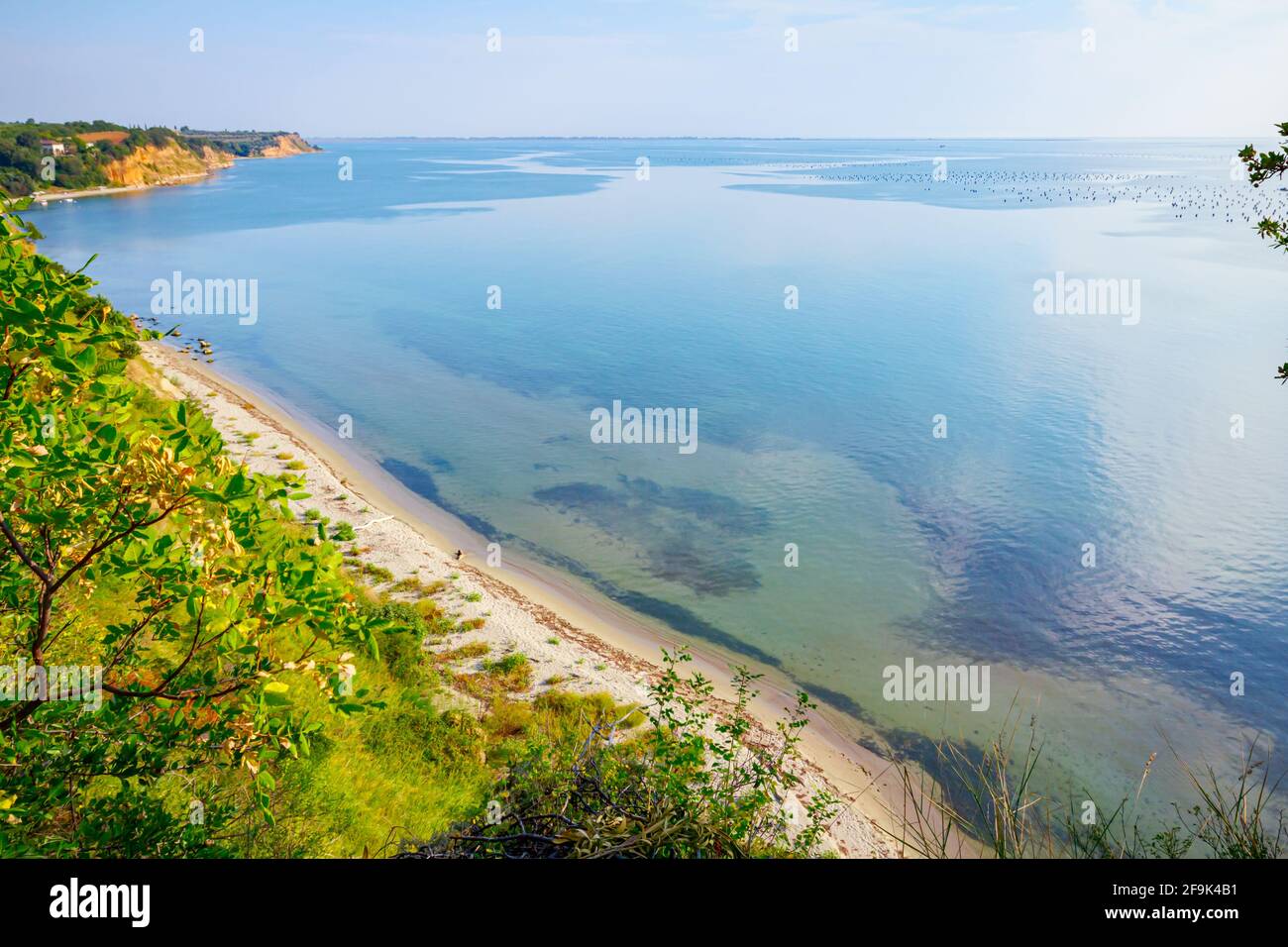 Overgrown cliff with grass and trees is above sea coastline. Settlement ...