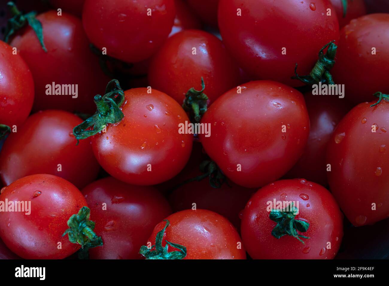 Cocktail, cherry, grape small tomatoes known as ciliegini, pachino ...