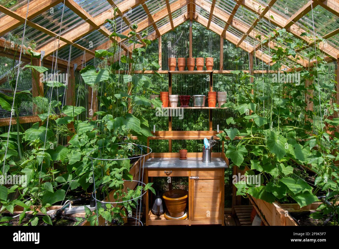 Organic architecture hi-res stock photography and images - Alamy