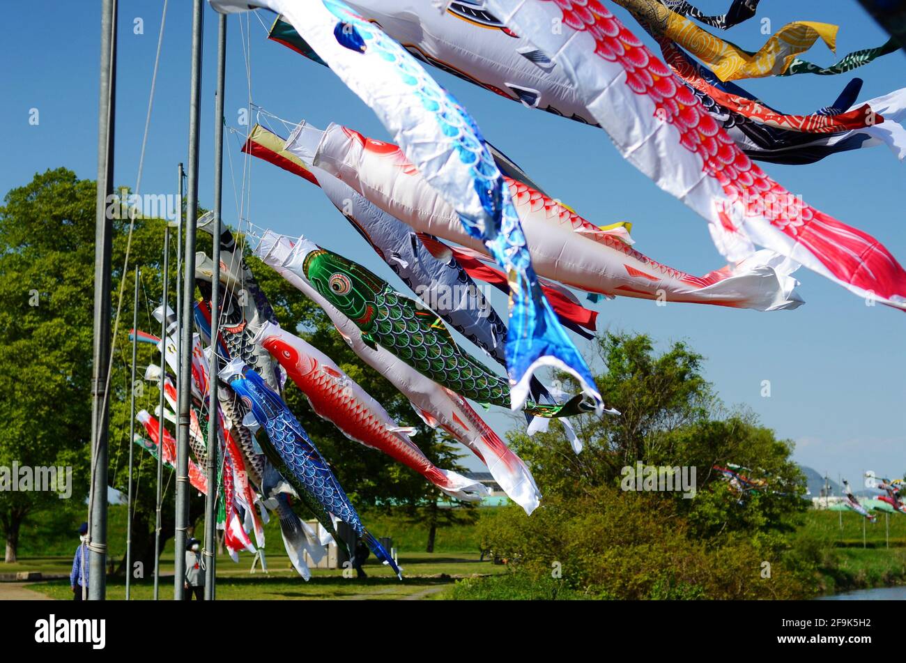 GIFU, JAPAN - APRIL 19, 2021 - Carp flags hang at the Yoshikawa ...