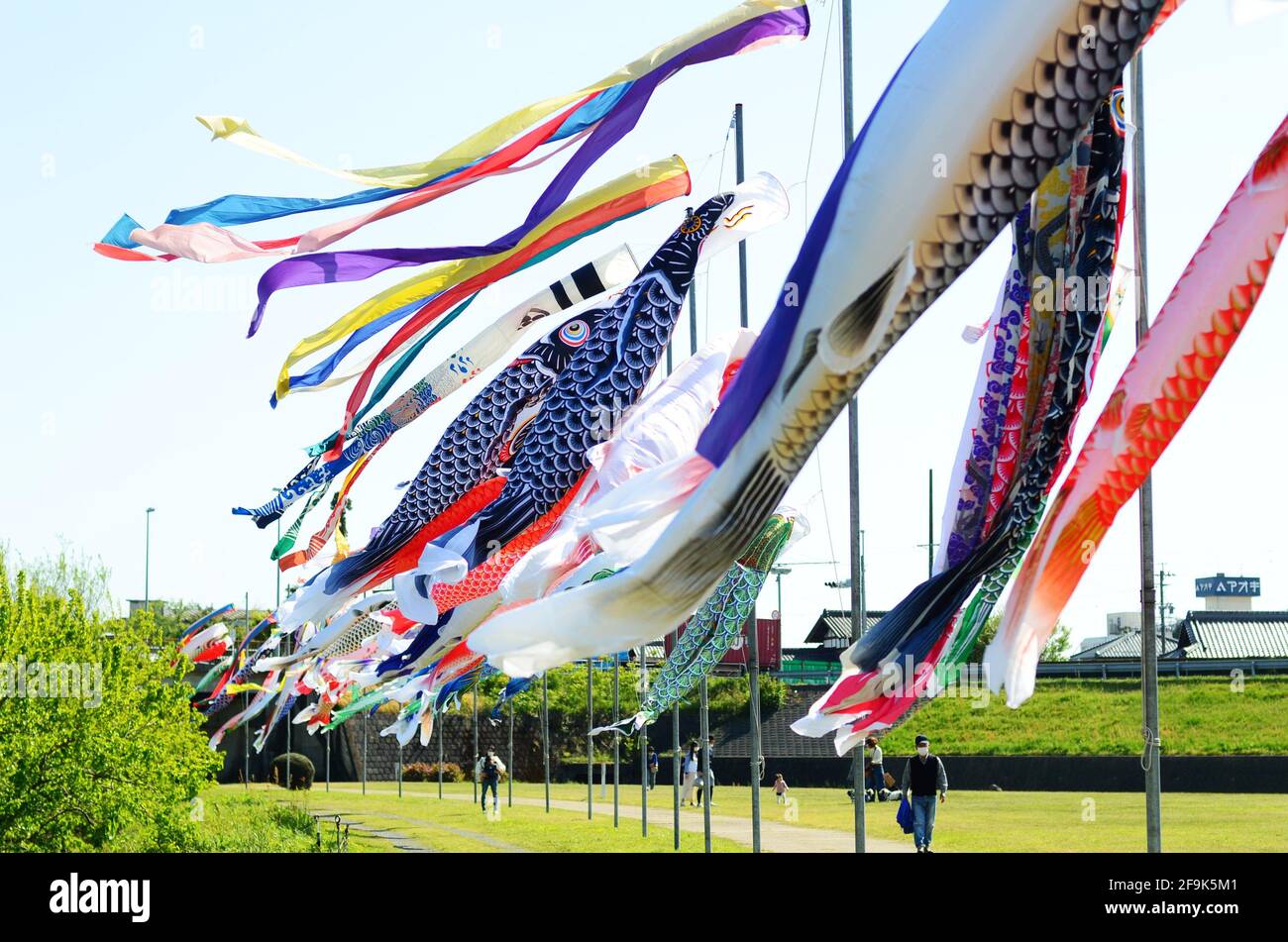 GIFU, JAPAN - APRIL 19, 2021 - Carp flags hang at the Yoshikawa ...