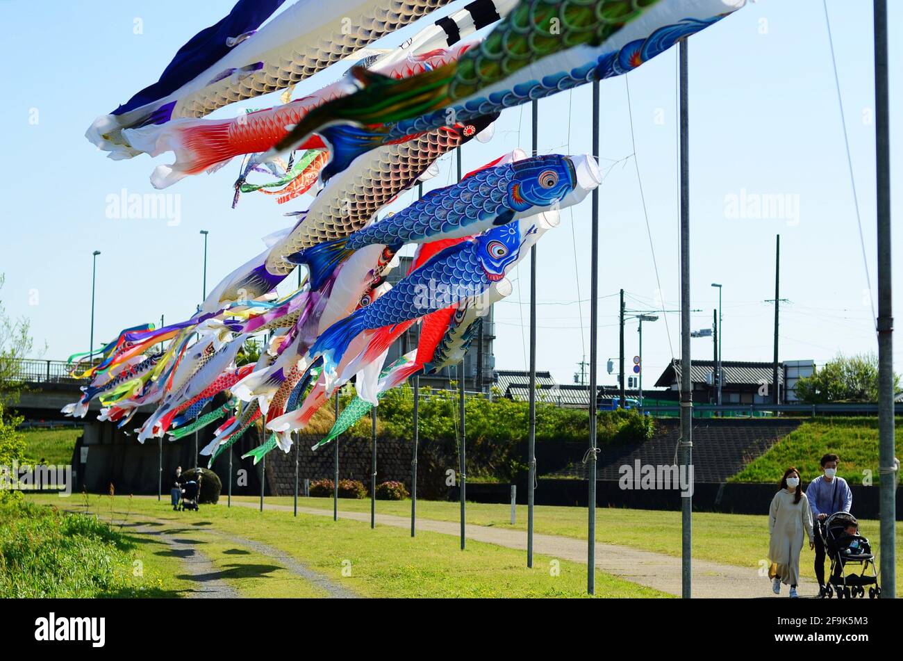 GIFU, JAPAN - APRIL 19, 2021 - Carp flags hang at the Yoshikawa ...