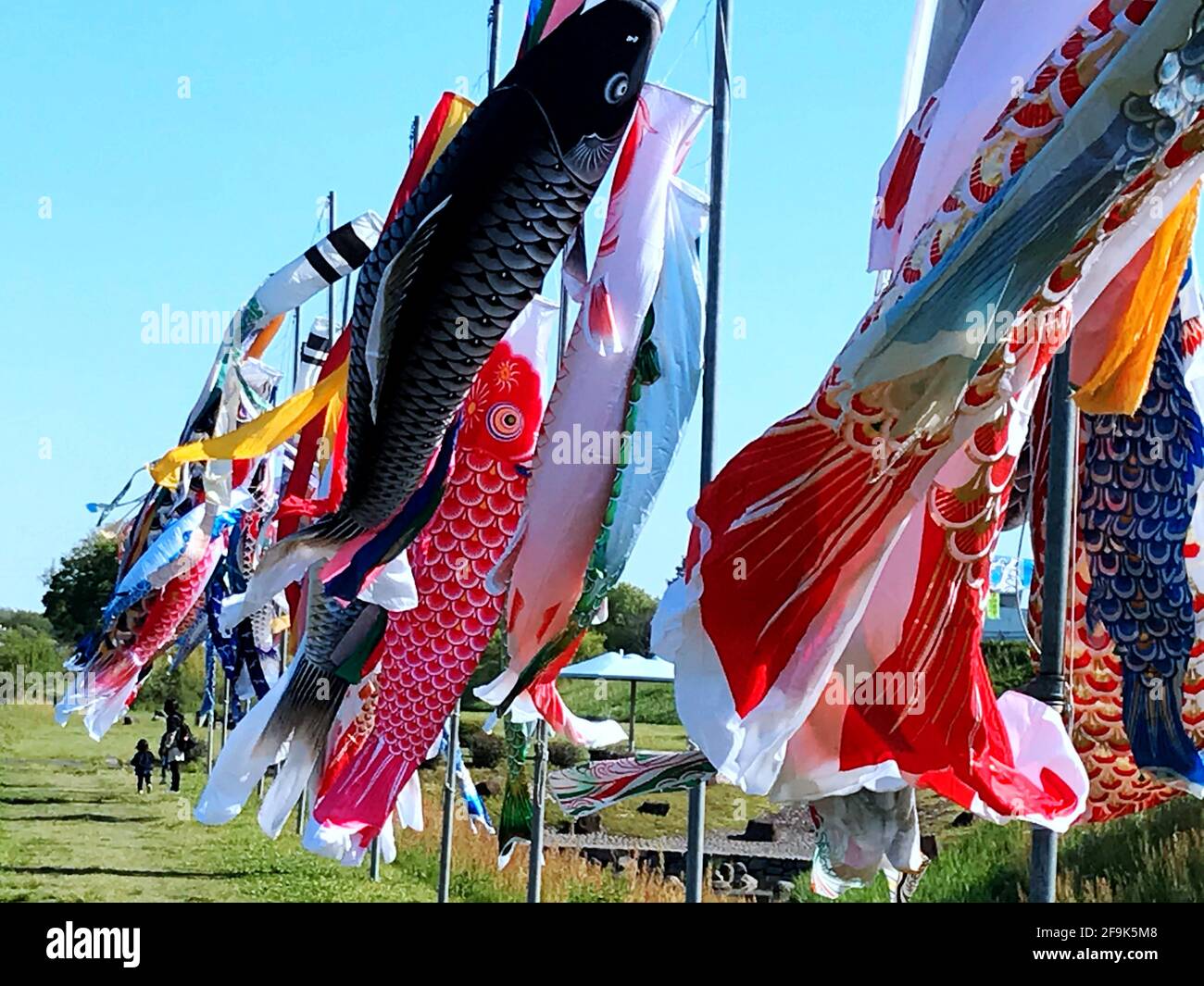 GIFU, JAPAN - APRIL 19, 2021 - Carp flags hang at the Yoshikawa ...