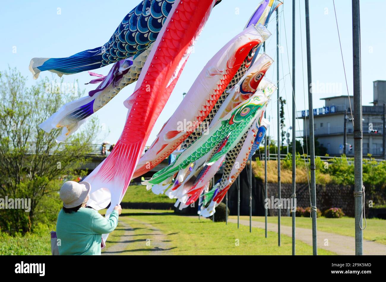 GIFU, JAPAN - APRIL 19, 2021 - Carp flags hang at the Yoshikawa ...