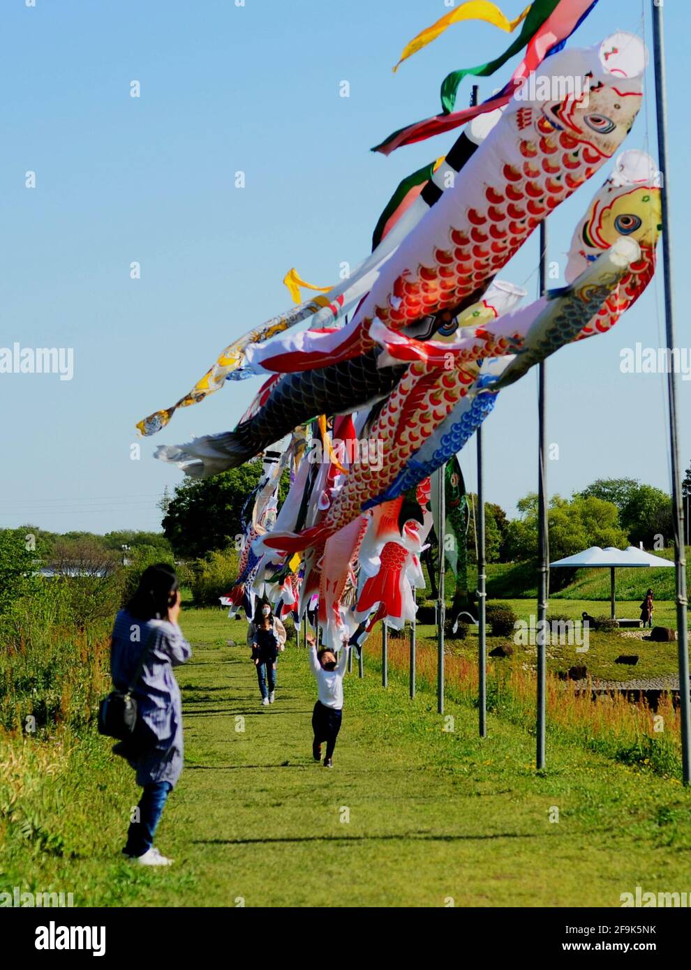 GIFU, JAPAN - APRIL 19, 2021 - Carp flags hang at the Yoshikawa ...