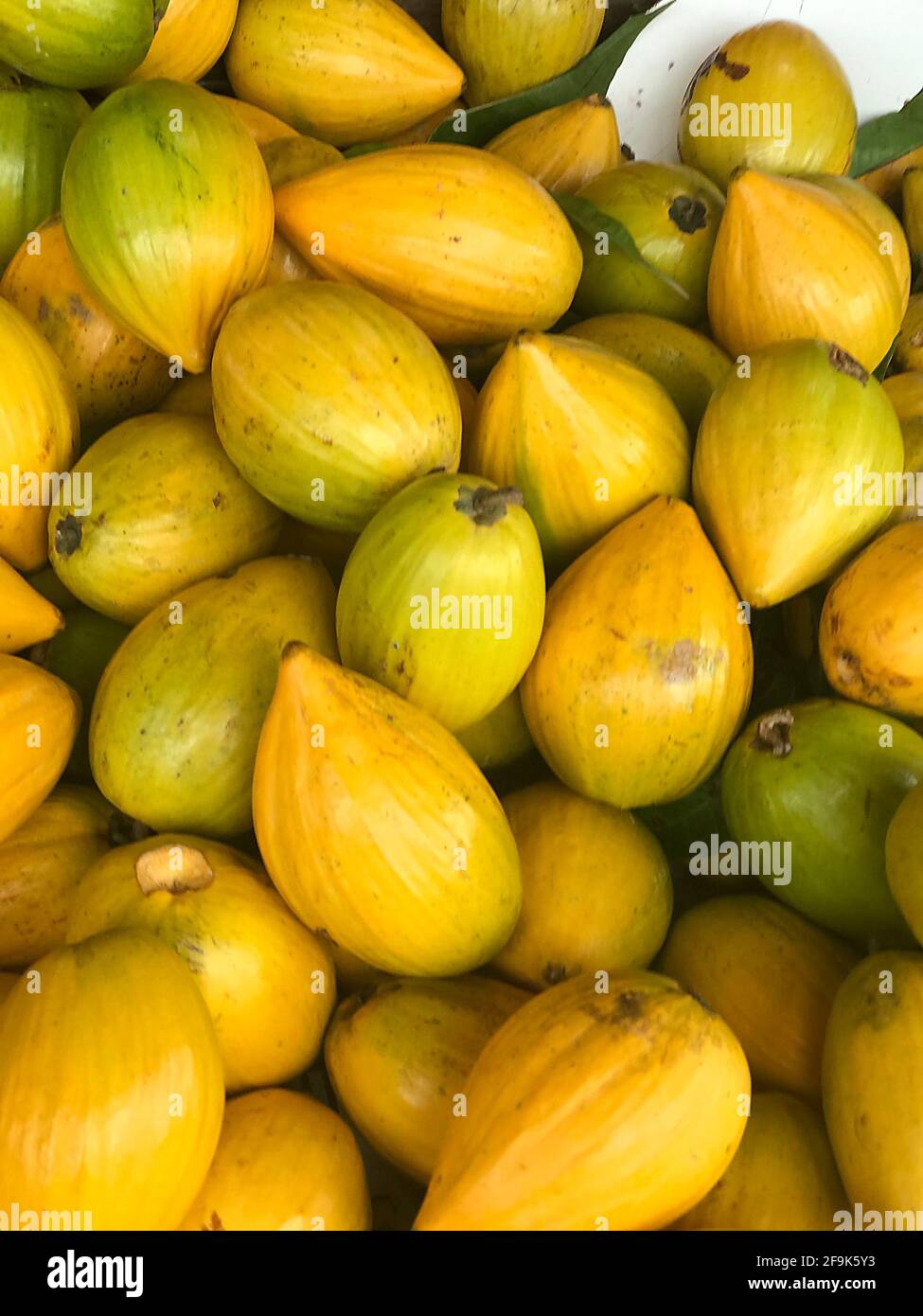 Pouteria hi-res stock photography and images - Alamy