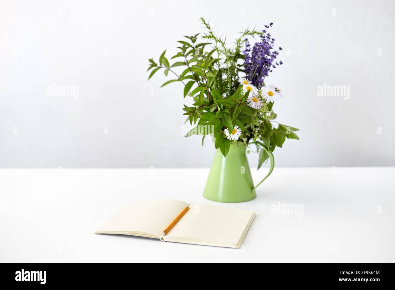 Vintage botany notebook hi-res stock photography and images - Alamy