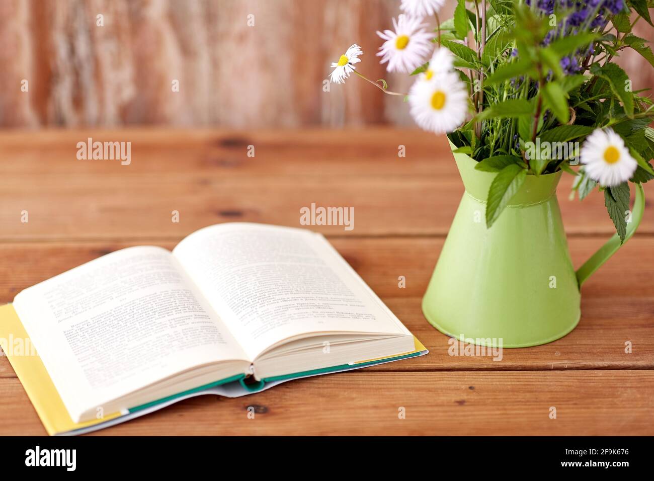Plant on book table hi-res stock photography and images - Alamy