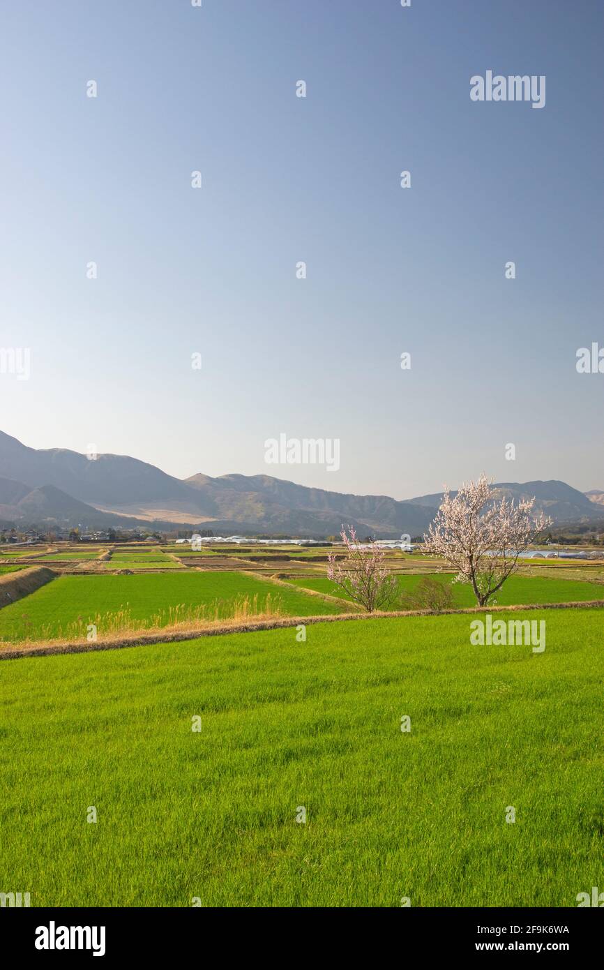 Minamiaso, Kumamoto Prefecture, Japan in early spring Stock Photo - Alamy