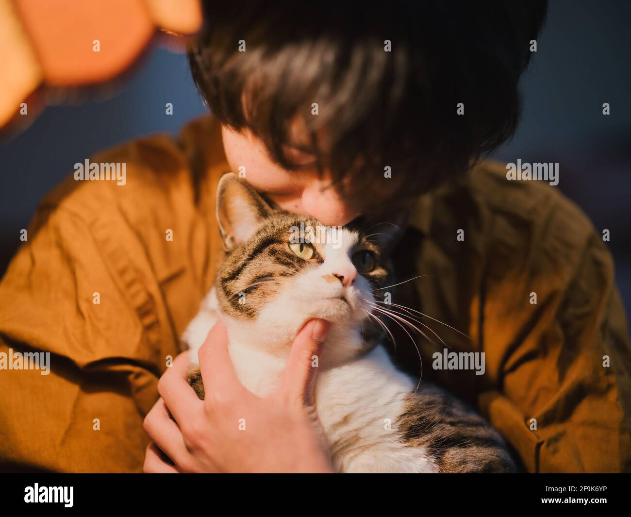 Cat and Owner Stock Photo - Alamy
