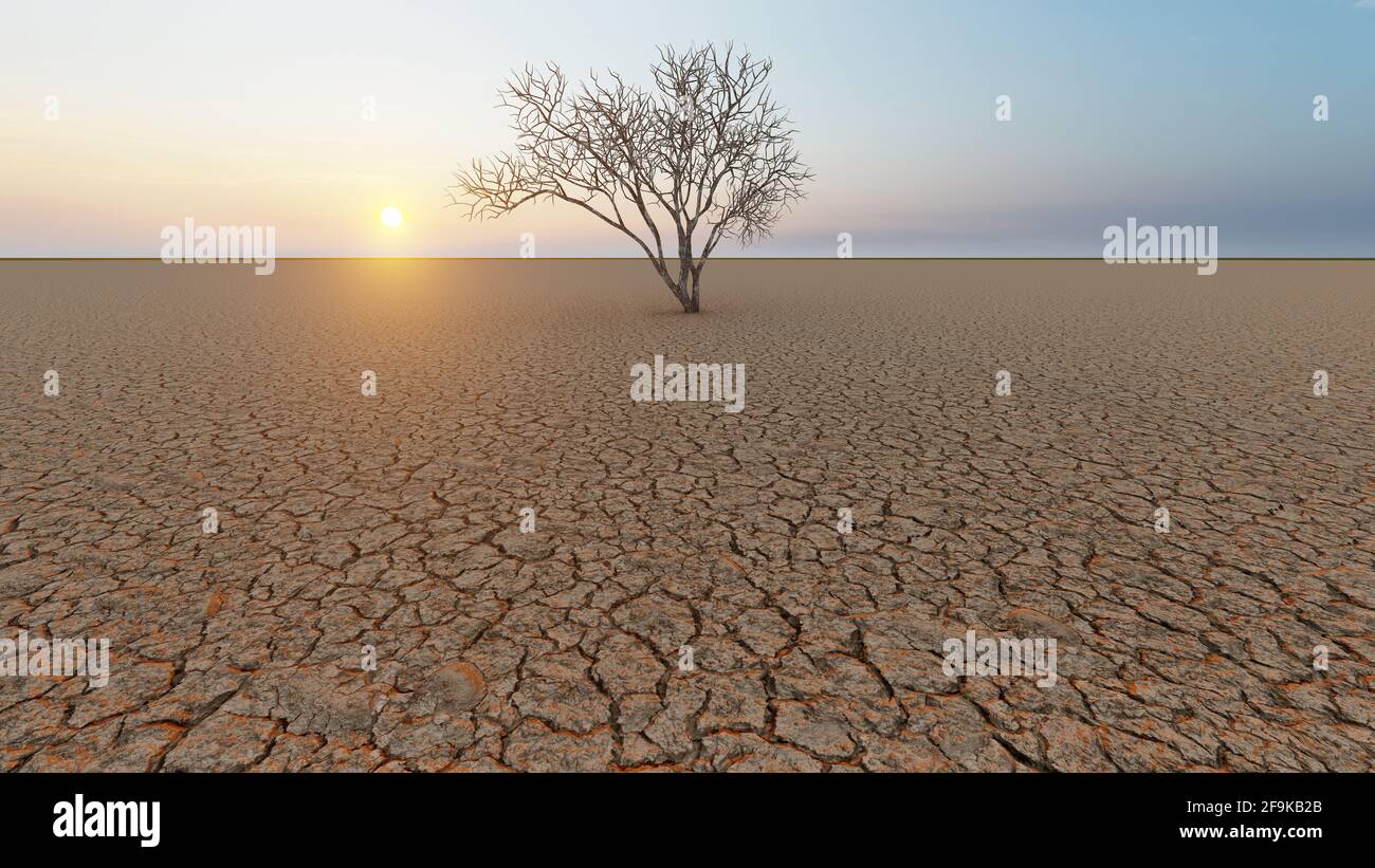 Concept or conceptual desert landscape with a parched tree as a ...