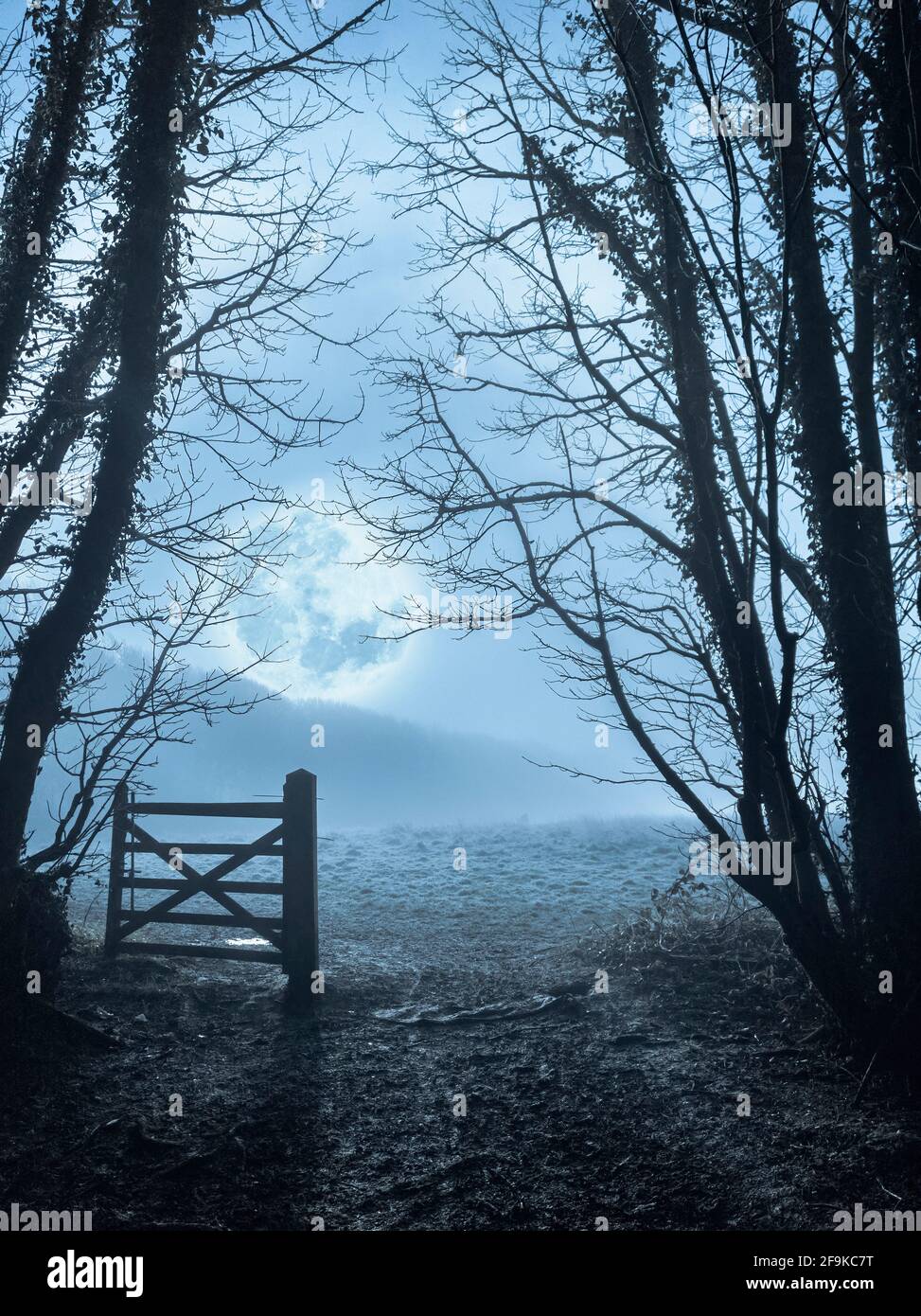 Gate in Silhouette by Moonlight. Winter atmospheric mist and fog with ...
