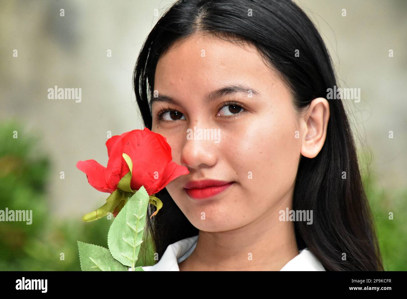 Indifferent flowers hi-res stock photography and images - Alamy