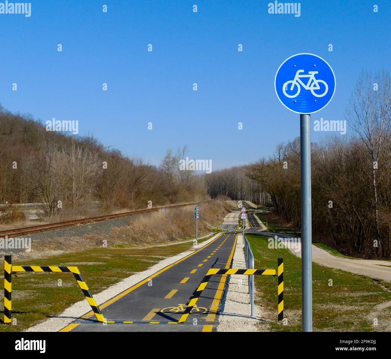 winding bicycle path. paved asphalt road. diminishing perspective ...