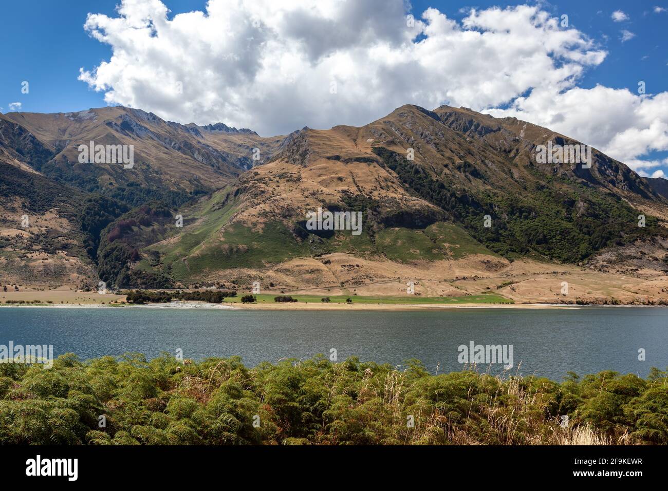 Scenic view of Lake Wanaka Stock Photo - Alamy
