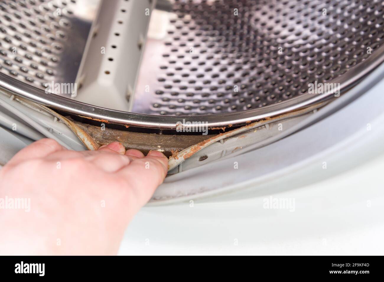 the hand protrudes the rubber band of the washing machine drum with a ...