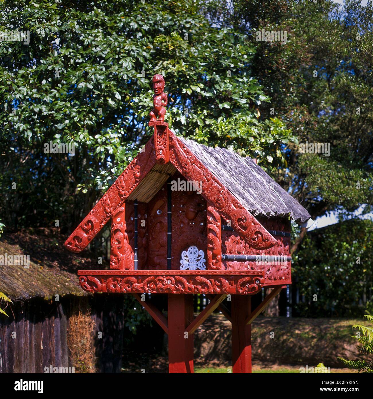 Maori traditions hi-res stock photography and images - Alamy