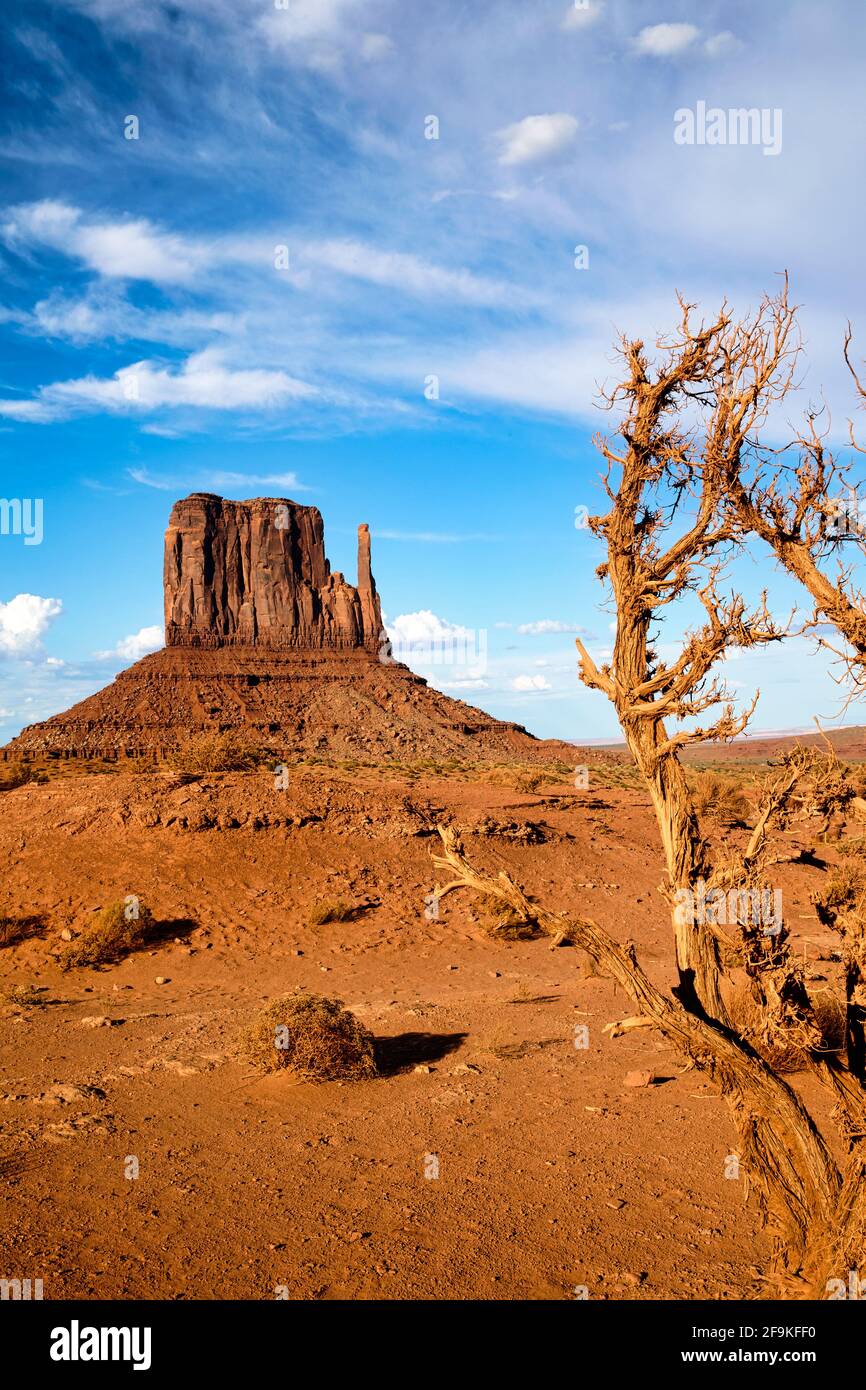 John mitten hi-res stock photography and images - Alamy