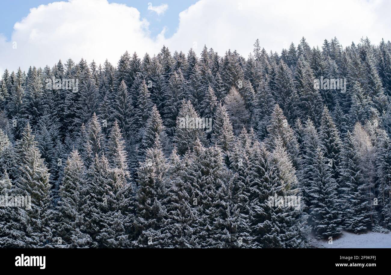 The first snow of winter Stock Photo - Alamy