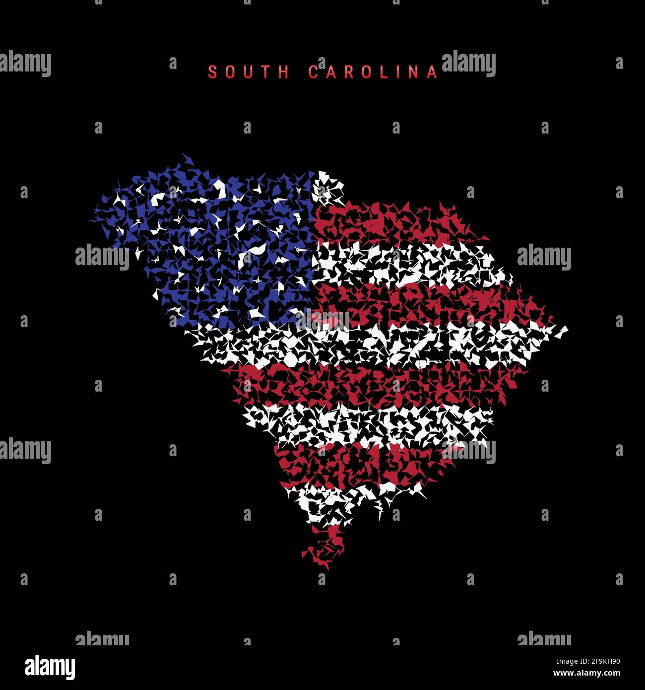 South Carolina US state flag map, chaotic particles pattern in the ...
