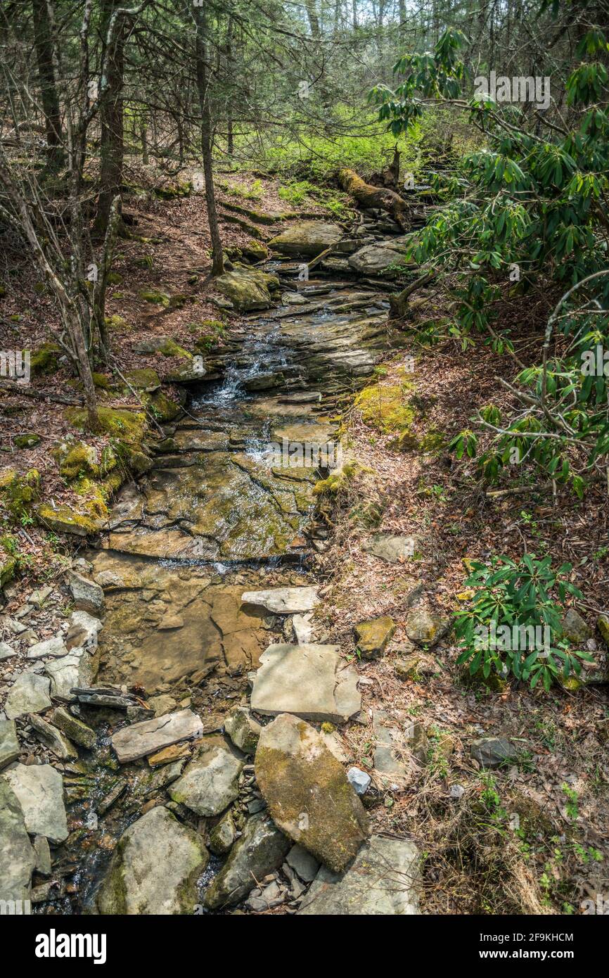 Down slope movement hi-res stock photography and images - Alamy