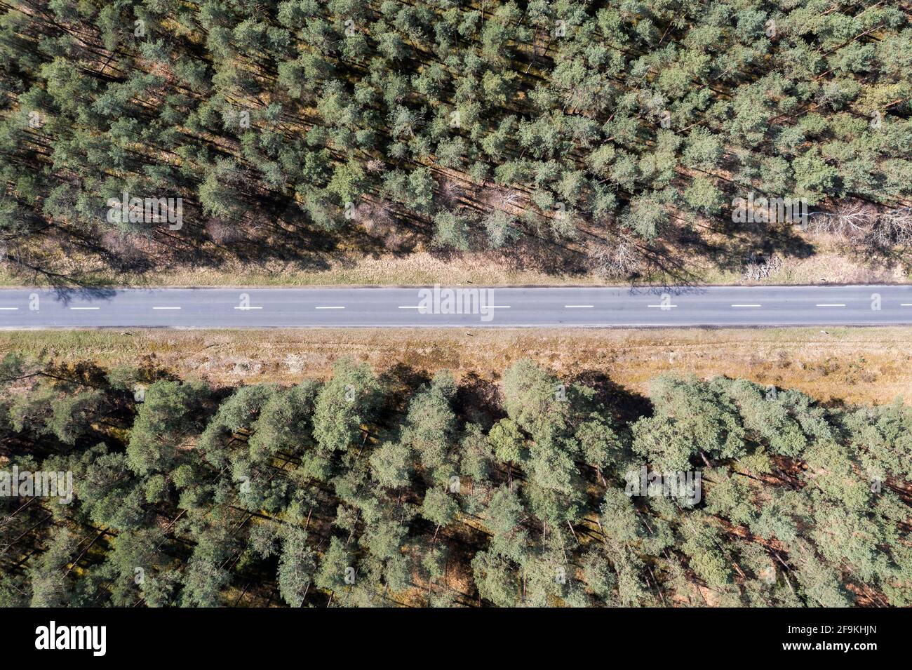 Bird's eye landscape, road in the forest texture Stock Photo - Alamy