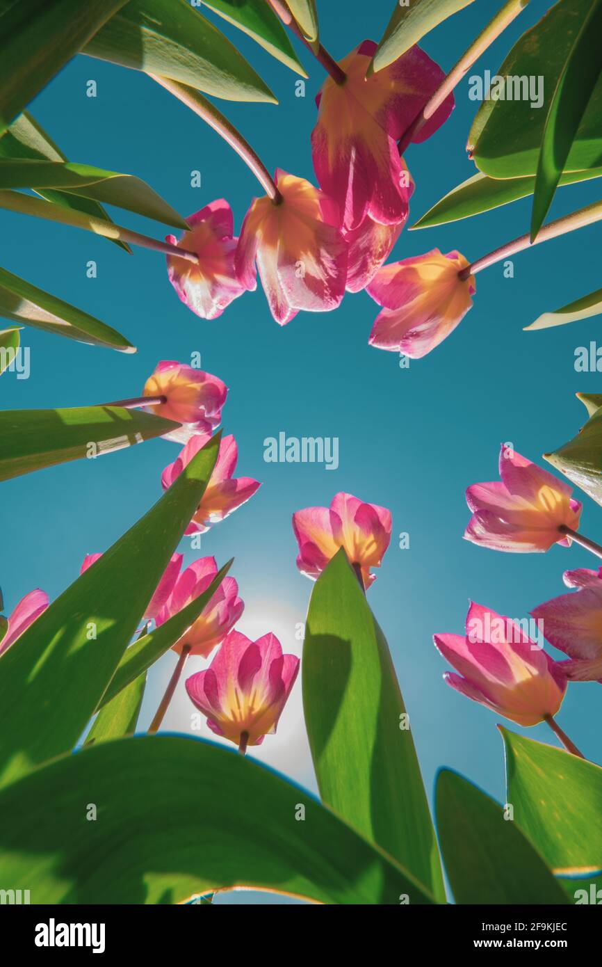 Taken at an angle hi-res stock photography and images - Alamy