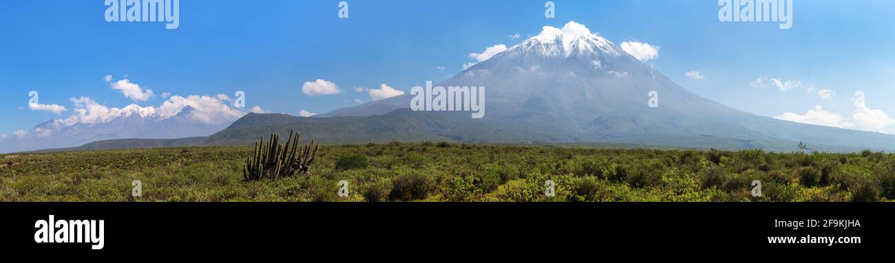 El Misti and chachani volcanoes and cactus, panoramic view, the best of ...