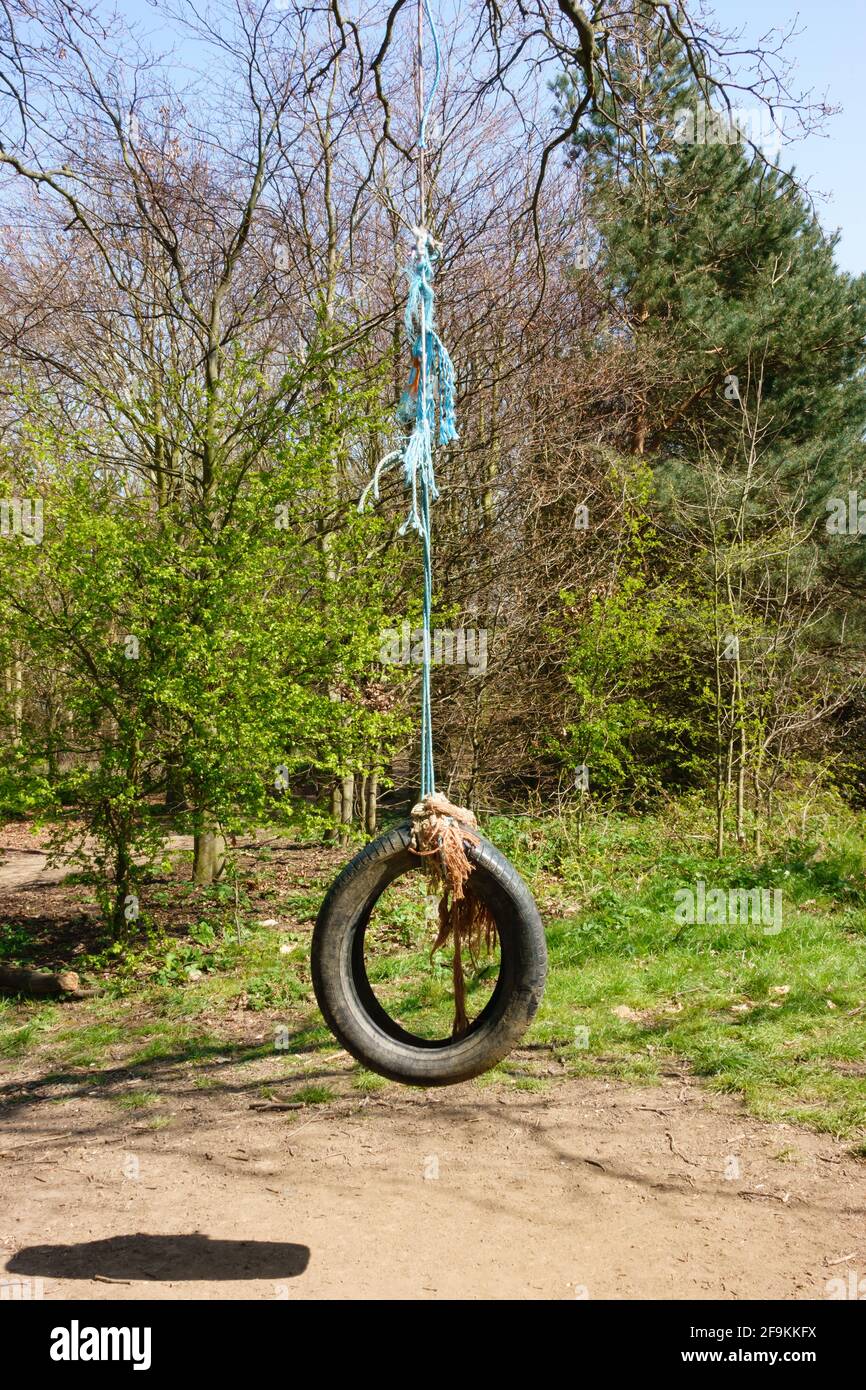Tire swing is hanging to tree hi-res stock photography and images - Alamy