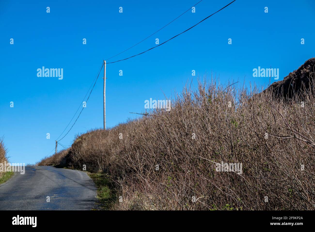 Utility Pole and lines for transmission of electricity and ...