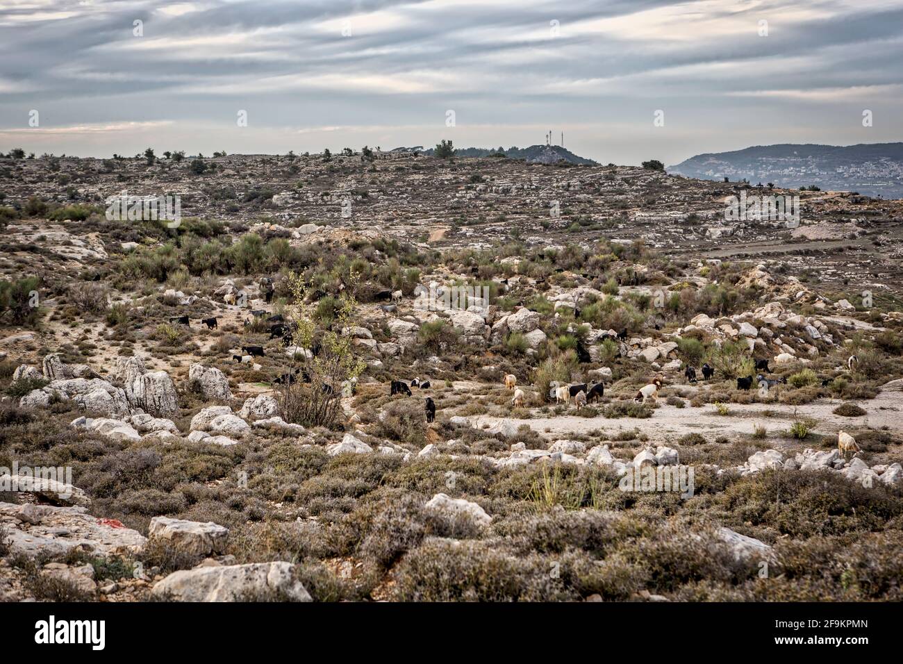 Lebanon, landscape, sunset, travel Stock Photo - Alamy