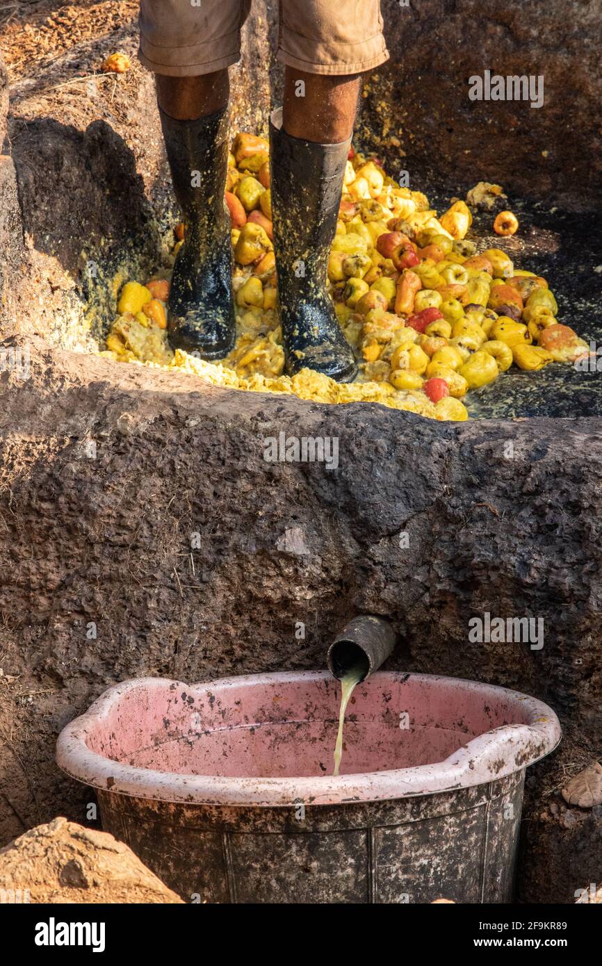 Goan cashew feni hi-res stock photography and images - Alamy