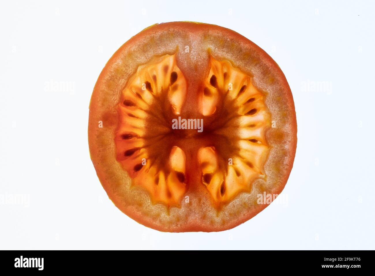 Macro lines glass macro still life backlit tomato slice hi-res stock ...