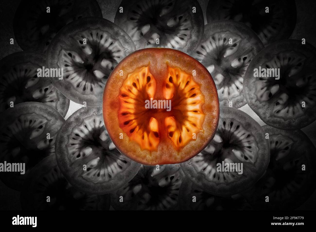 Macro lines glass macro still life backlit tomato slice hi-res stock ...