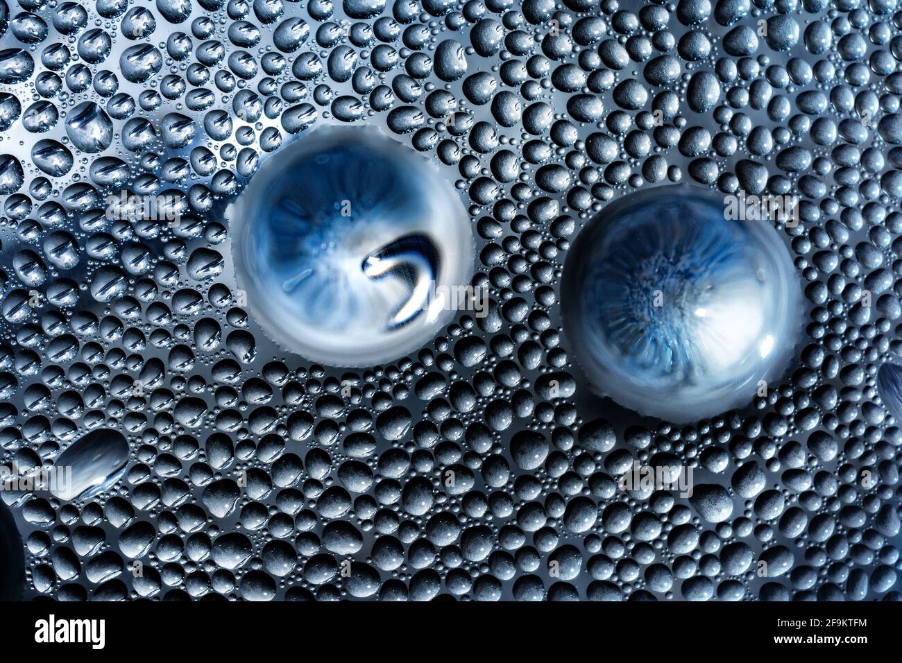 Still Life Macro Stock Photo - Alamy