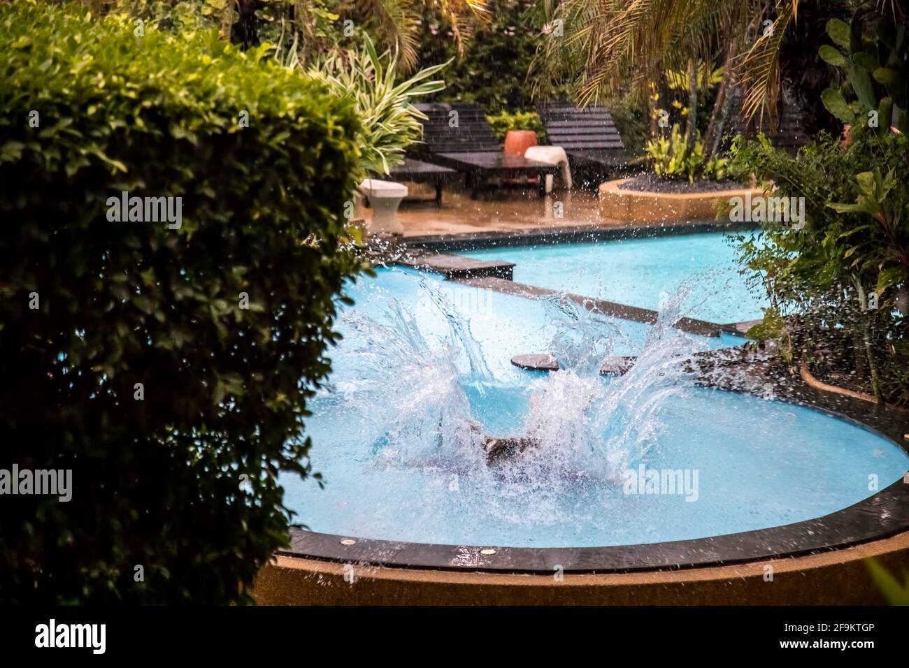 splash of water after jumping into a tropical outdoor pool in the ...