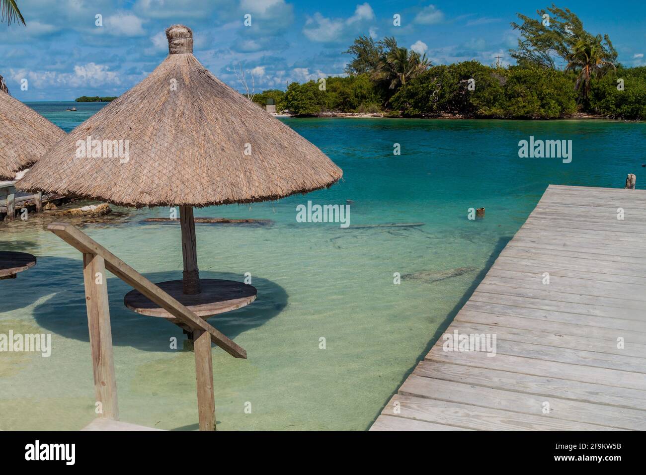 Table and a parasol in a water at Caye Caulker island, Belize Stock ...