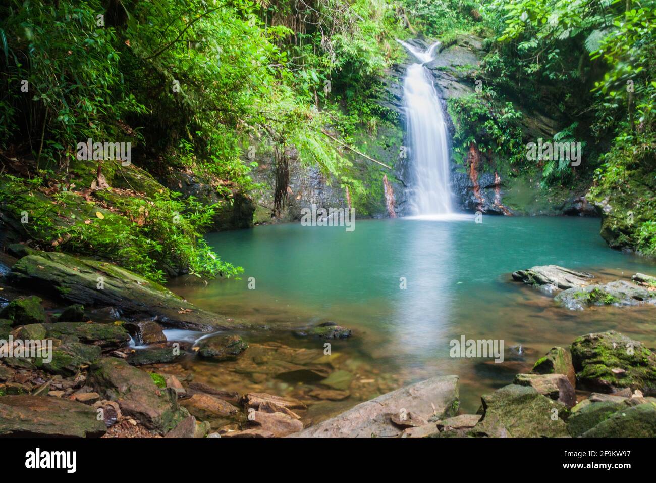 Tiger Fern waterfall in Cockscomb Basin Wildlife Sanctuary, Belize ...