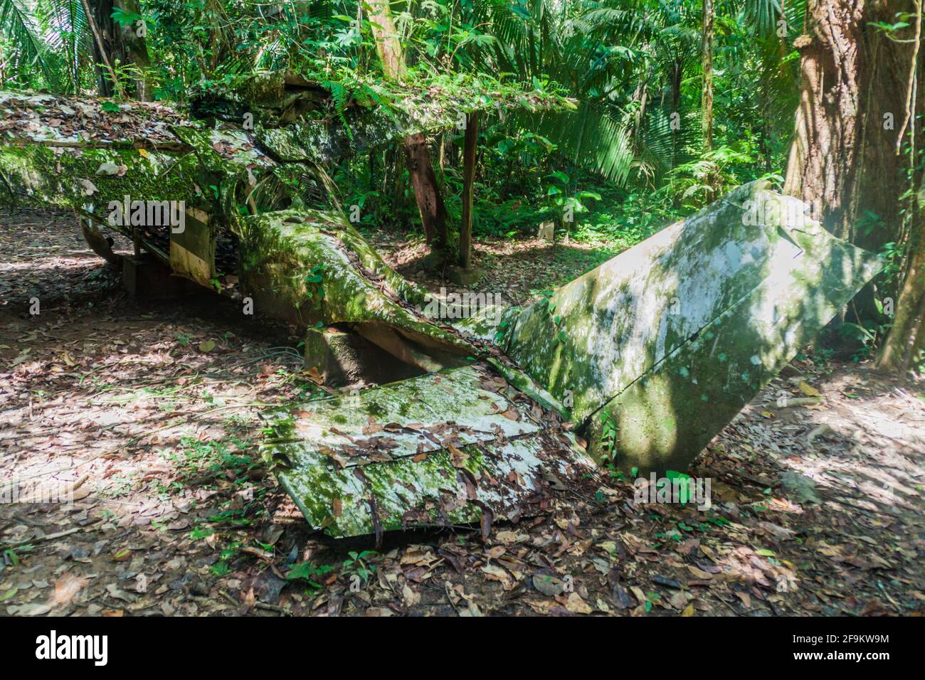 Plane wreck in Cockscomb Basin Wildlife Sanctuary, Belize. This plane ...