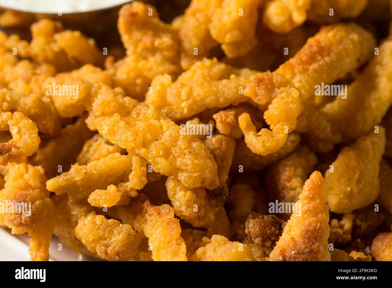 Homemade Fried Clam Strips with Fries and Tartar Sauce Stock Photo - Alamy