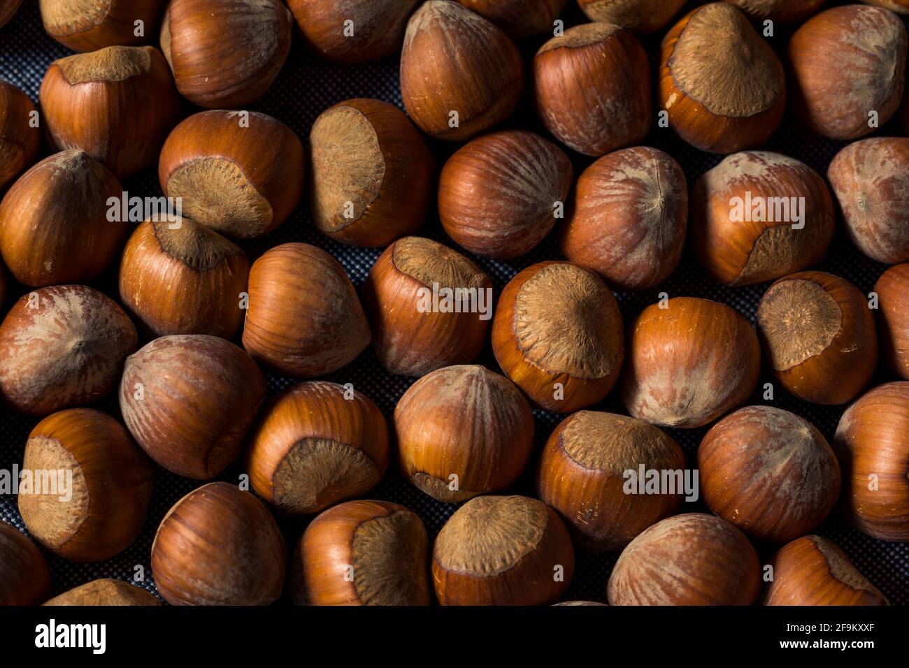 Raw hazelnuts hi-res stock photography and images - Alamy