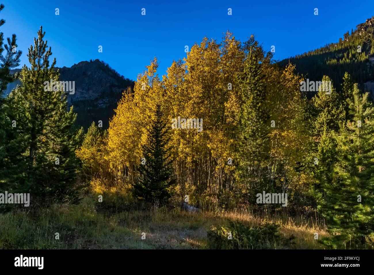 Mountains rise dramatically above the Rock Creek Valley in the ...