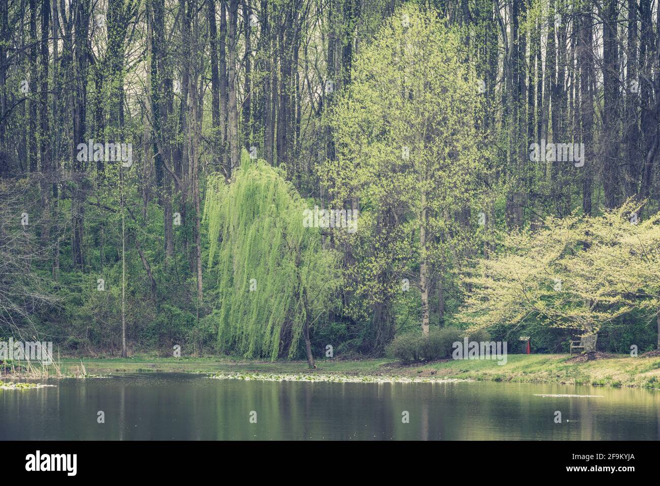 Desaturated landscape hi-res stock photography and images - Alamy
