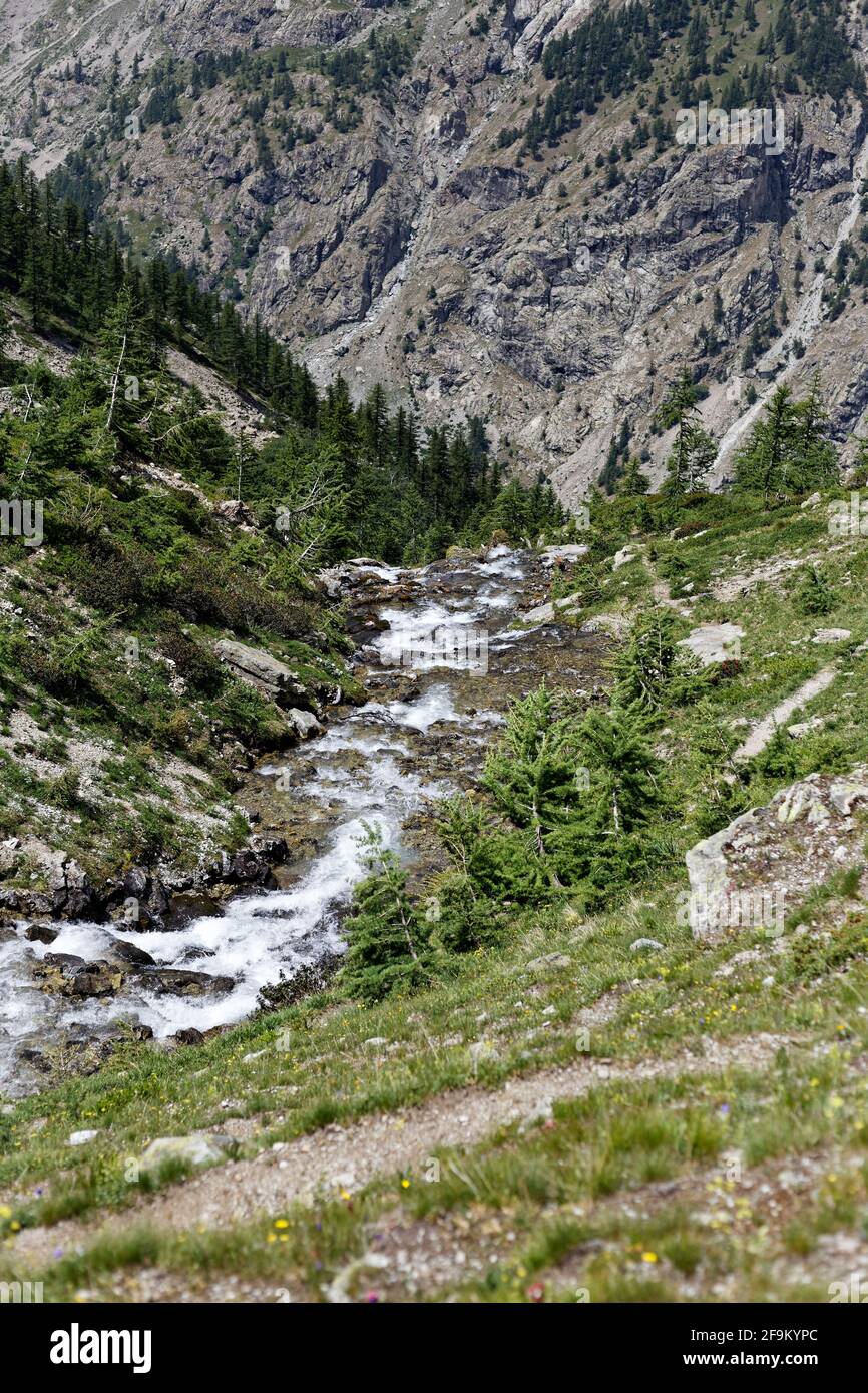 Mountain glacial stream Stock Photo - Alamy