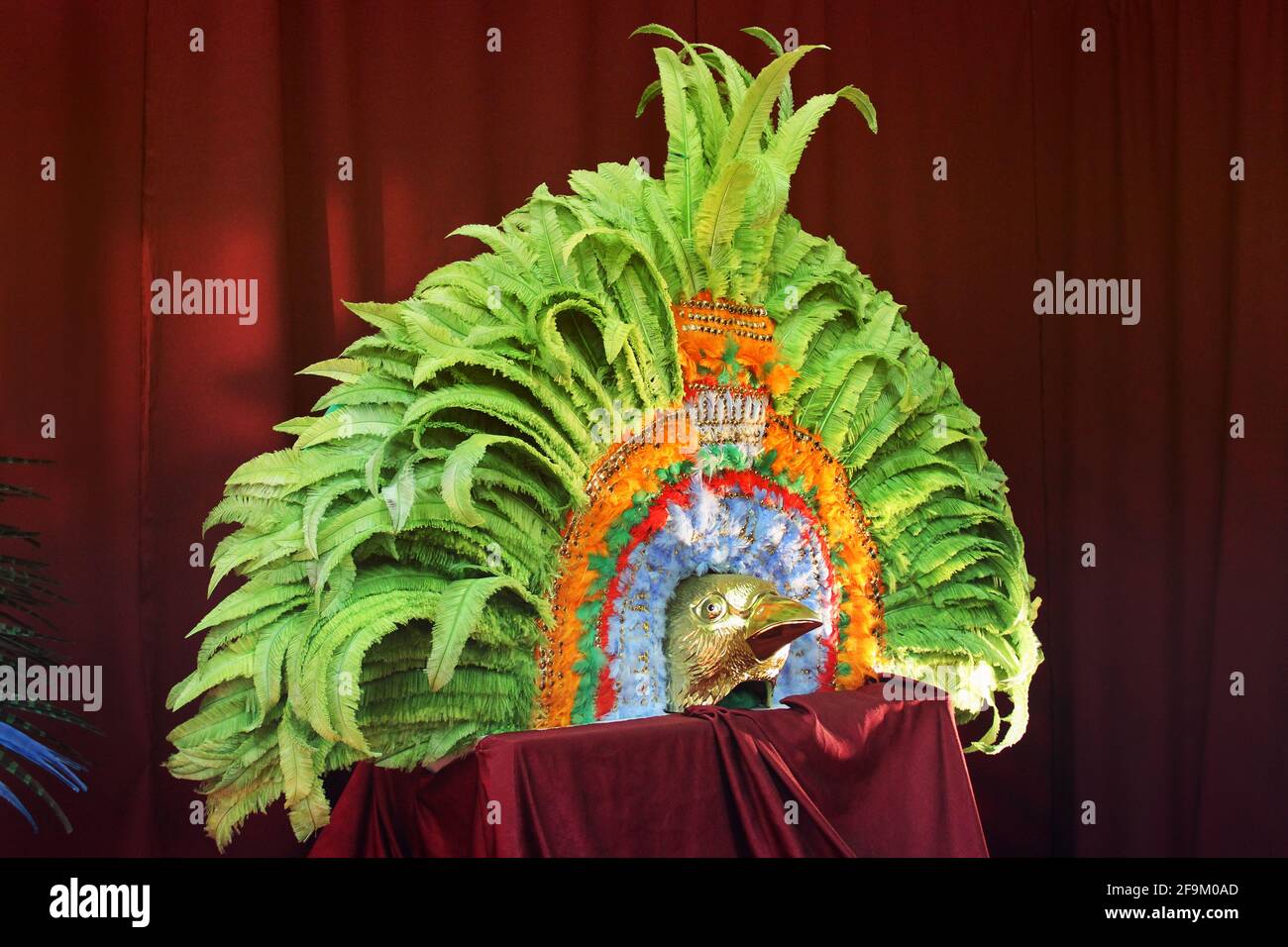 Crown of feathers hi-res stock photography and images - Alamy