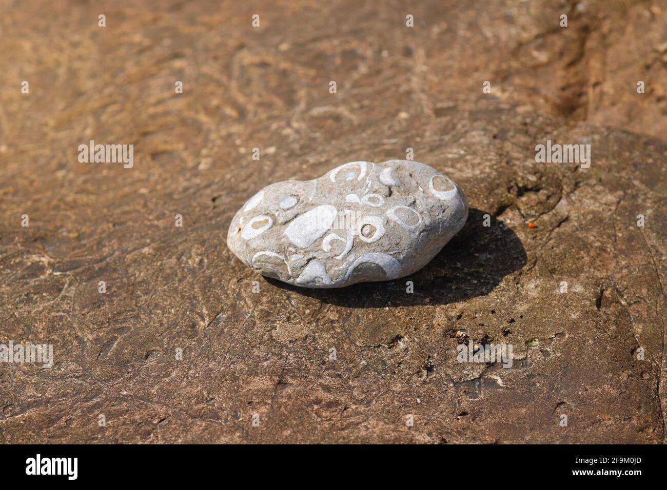 Patterned rock hi-res stock photography and images - Alamy