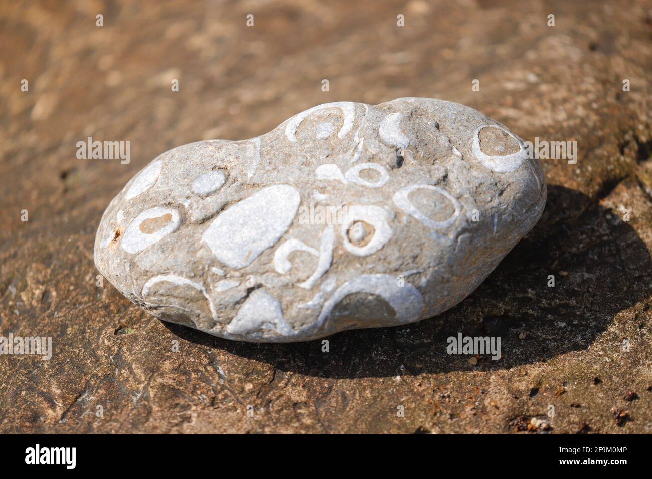 Patterned rock hi-res stock photography and images - Alamy