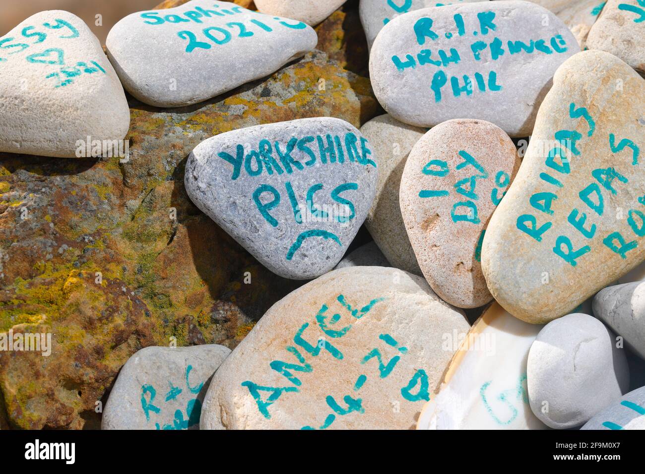 Pebbles with messages written on them at a beach in Scarborough,North ...