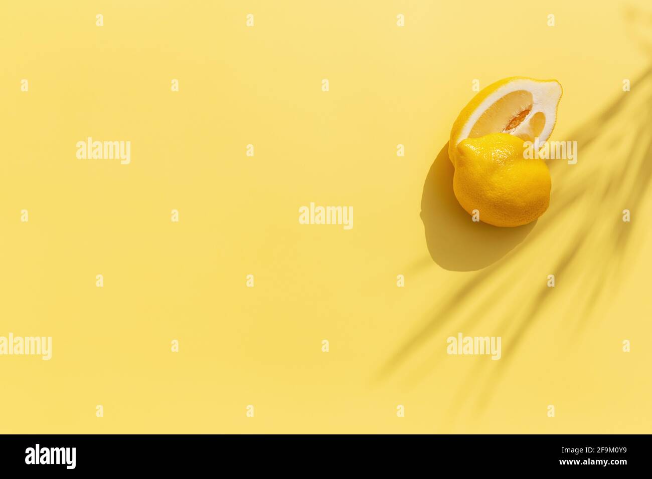Two halved cuts of lemon with shadow from palm leaf on yellow ...