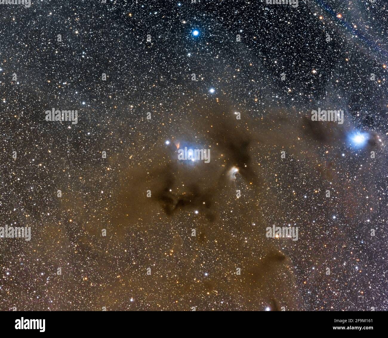 Molecular cloud hi-res stock photography and images - Alamy